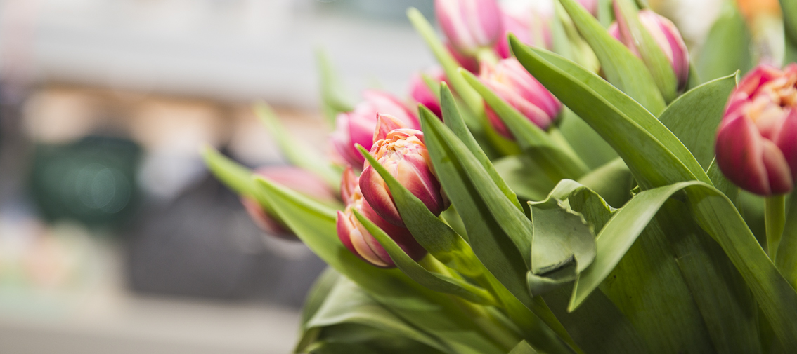 Floristik Obendrauf - Blumen Blumensträuße Brautsträuße Graz