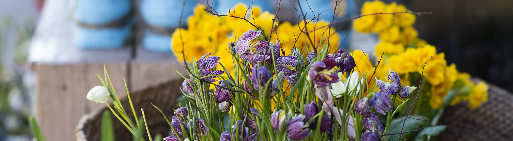 Floristik Obendrauf - Blumen Blumensträuße Brautsträuße Graz